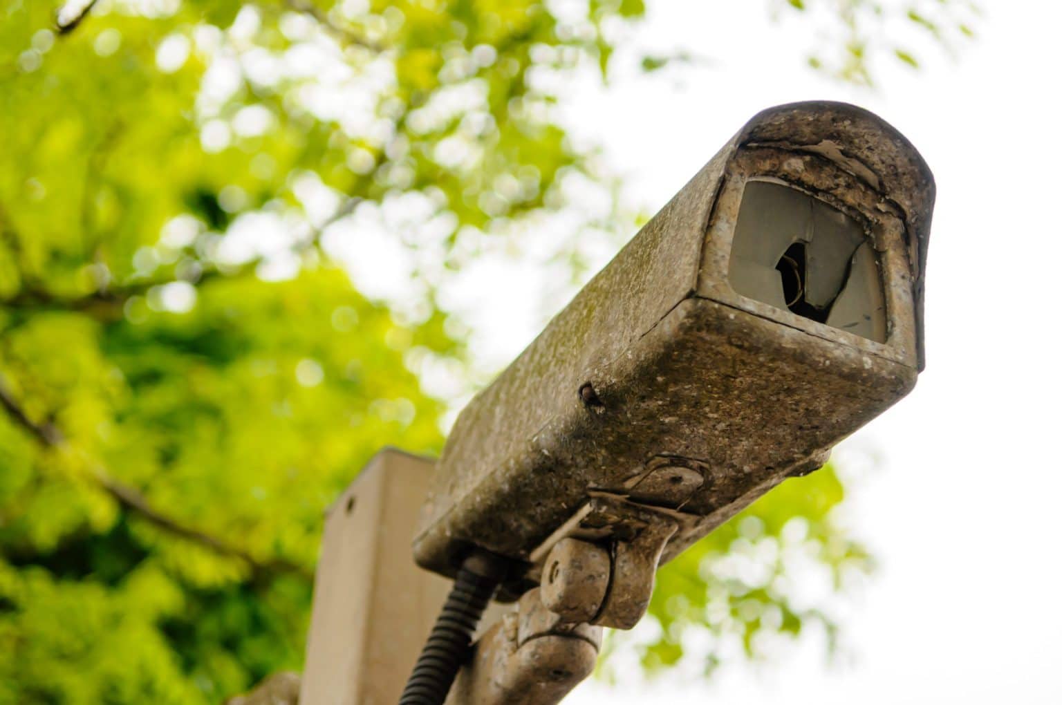 Thermal Security Camera: 3 Reasons for Top Perimeter Security